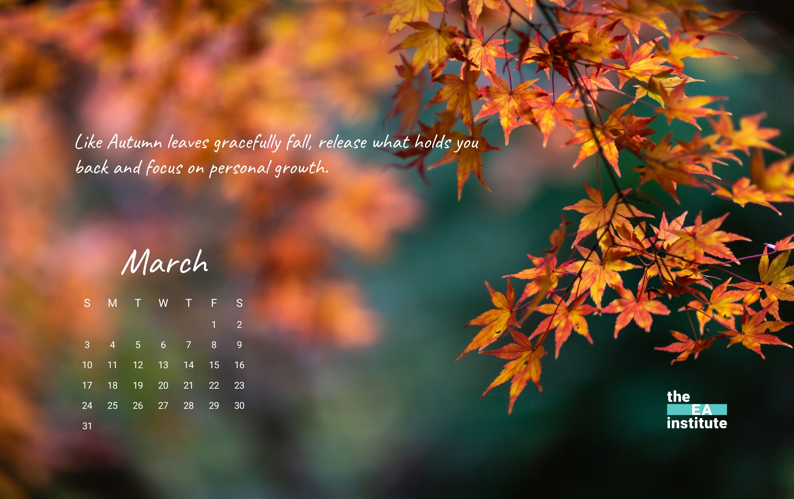 The EA Institute - Free Desktop Background Downloads